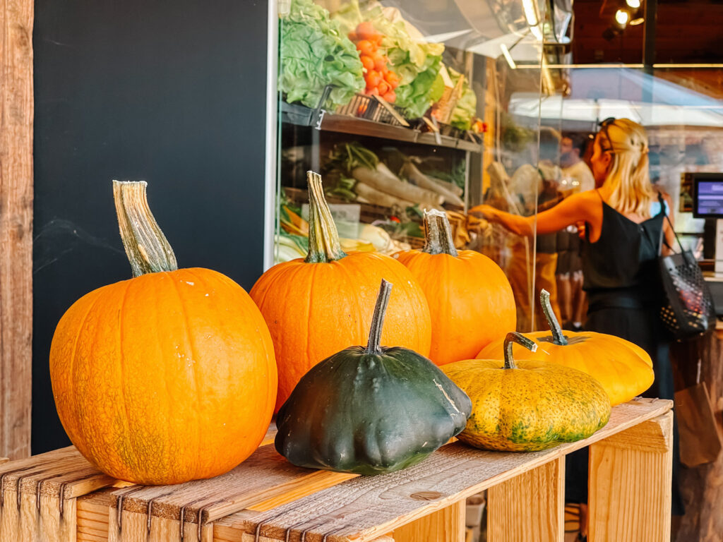 Beautiful pumpkins in the Jucker Farm from Seegräben (Juckerhof) | ever ...