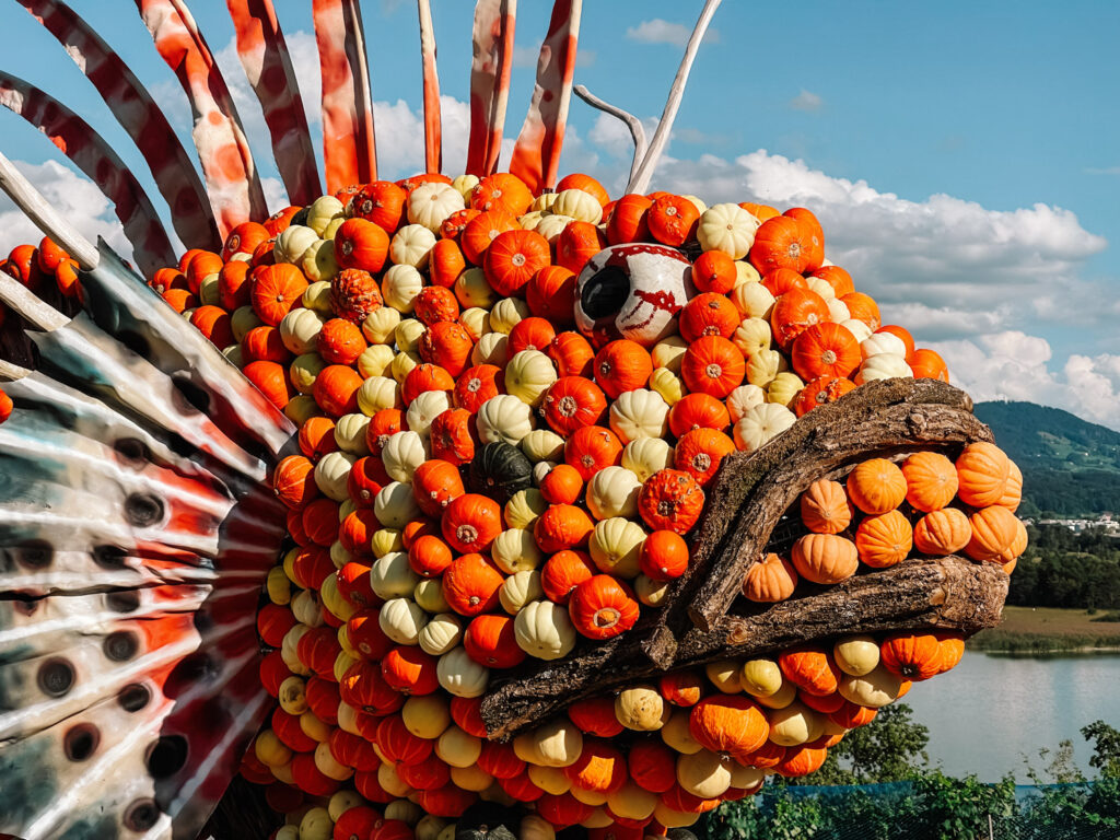 Beautiful pumpkins in the Jucker Farm from Seegräben (Juckerhof) | ever ...