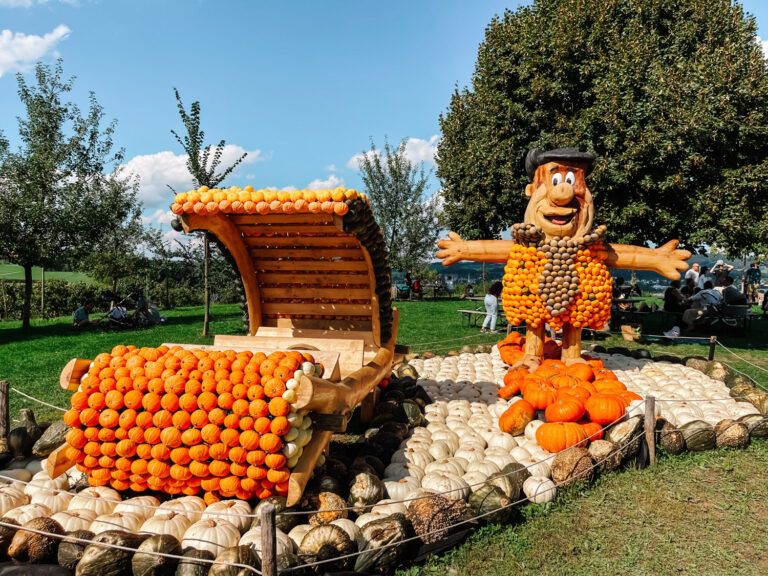 Beautiful pumpkins in the Jucker Farm from Seegräben (Juckerhof) | ever ...