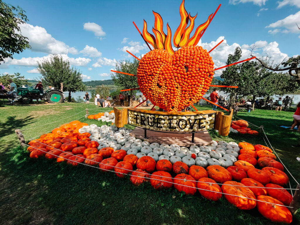 Beautiful pumpkins in the Jucker Farm from Seegräben (Juckerhof) | ever ...