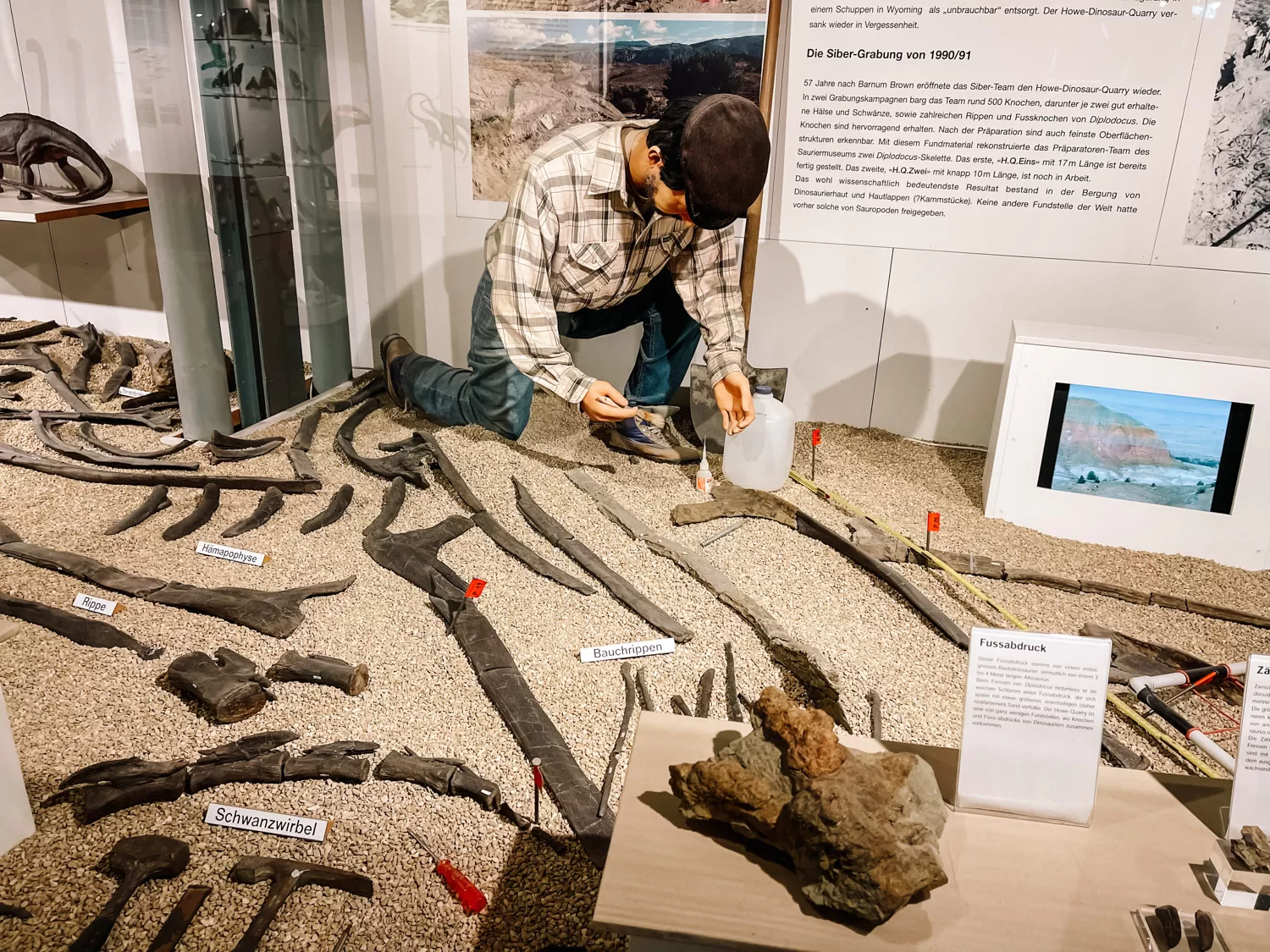 The Fascinating World of Dinosaurs at Aathal Dinosaur Museum