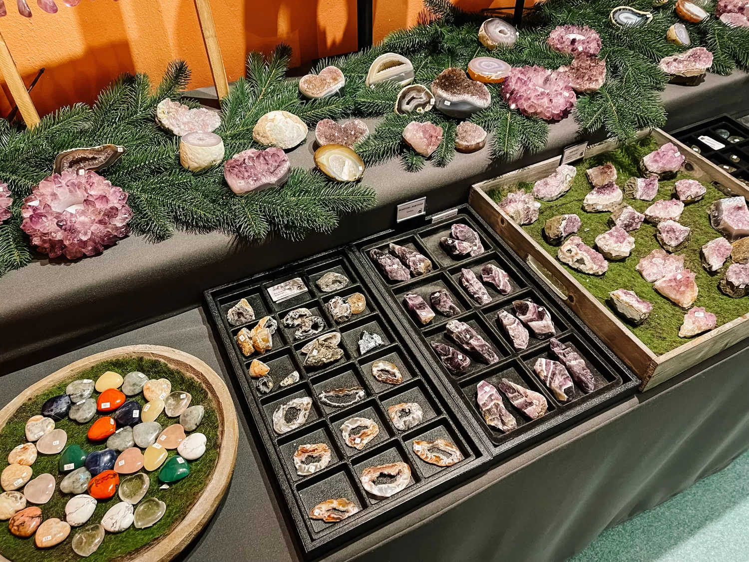 The Fascinating World of Dinosaurs at Aathal Dinosaur Museum